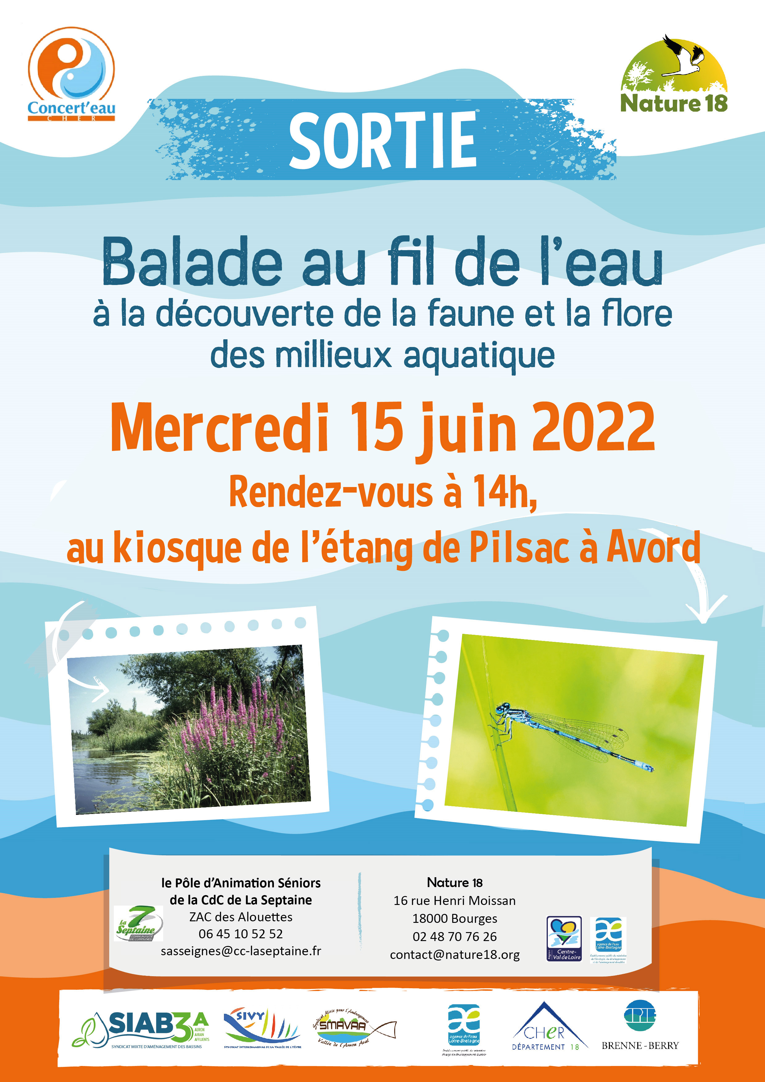 Balade au fil de l’eau | Mairie d'Avord